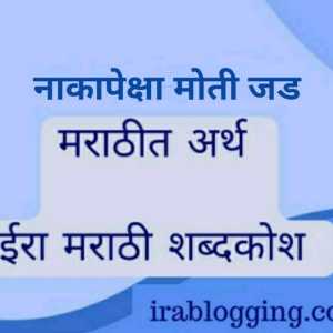 नाकापेक्षा मोती जड चा अर्थ मराठी nakapeksha moti jad meaning in marathi ...